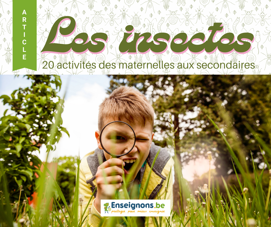 20 activités pour mieux connaitre et protéger les … - Enseignons.be