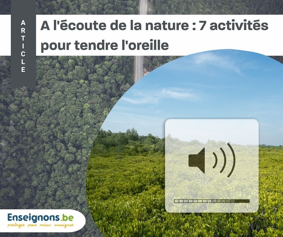 Articles - Enseignons.be