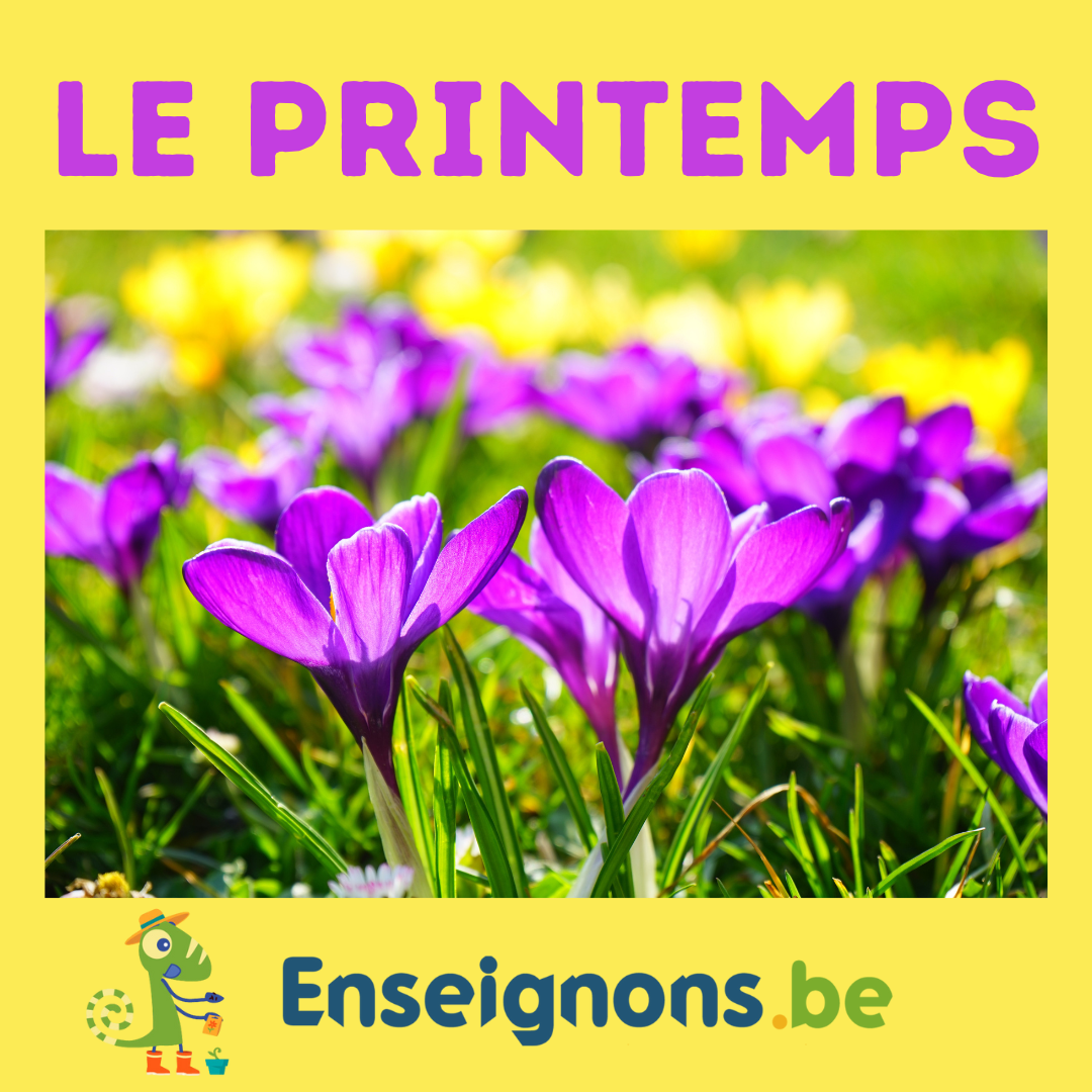 Le printemps - Enseignons.be