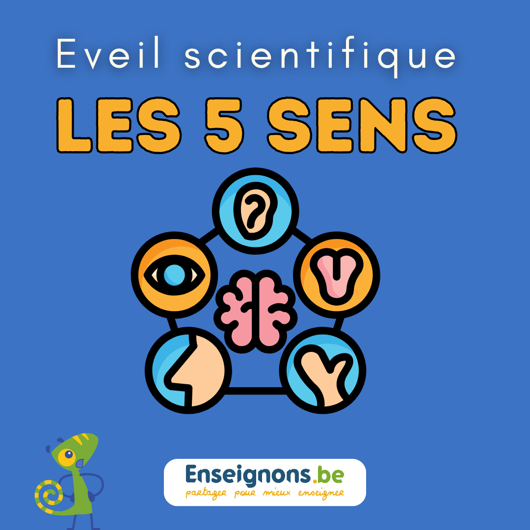 Les 5 sens - Enseignons.be